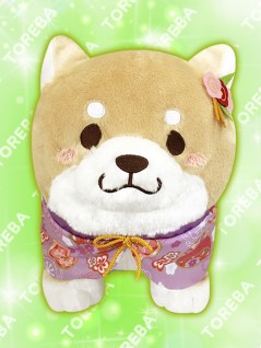 Toreba Prize Watcher Plus