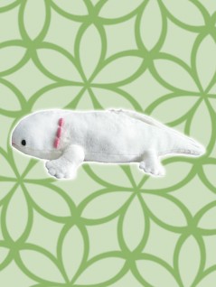 Toreba Prize Watcher Plus